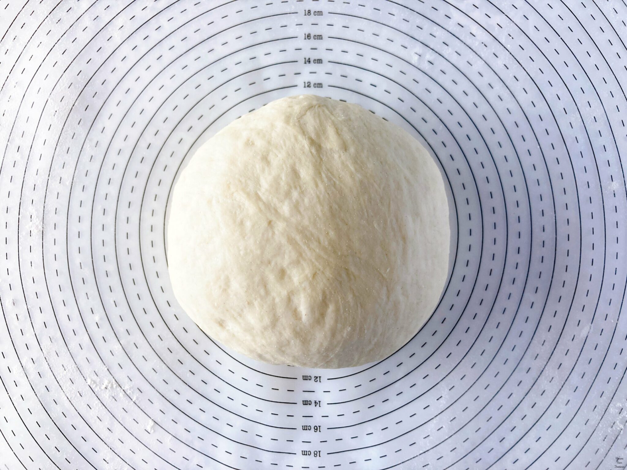 Easy Homemade Quattro Formaggi Pizza (4-Cheese) - Umami Sans Frontieres